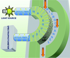 A novel C-shaped, gold nanoparticle coated, embedded polymer waveguide ...