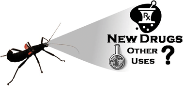 Insects and their chemical weaponry: New potential for drug discovery ...