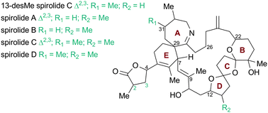 Spiroimine shellfish poisoning (SSP) and the spirolide family of ...
