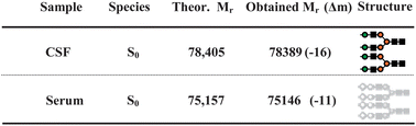 Novel HPLC-ICP-MS strategy for the determination of β2-Transferrin, the ...