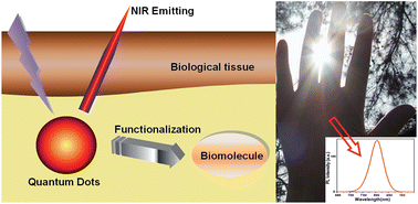 Near-infrared quantum dots: synthesis, functionalization and analytical applications - Analyst ...