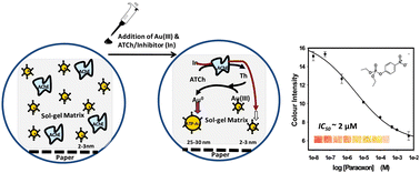 Bioactive paper dipstick sensors for acetylcholinesterase inhibitors ...