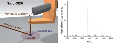 Nanospray desorption electrospray ionization: an ambient method for ...