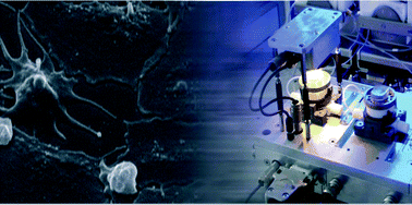 Platelet aggregation monitoring with a newly developed quartz crystal ...