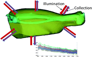 Development of non-invasive Raman spectroscopy for in vivo evaluation ...