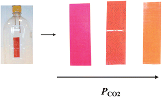 A novel ‘fizziness’ indicator - Analyst (RSC Publishing)