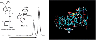 Enantioseparation of dansyl amino acids by ultra-high pressure liquid ...