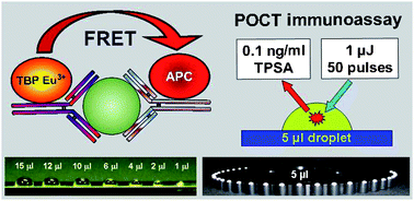 Toward sensitive, quantitative point-of-care testing (POCT) of protein ...