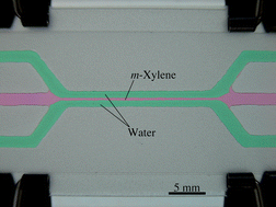 An inkjet-printed microfluidic device for liquid–liquid extraction ...
