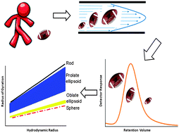 Characterizing the size, shape, and compactness of a polydisperse ...