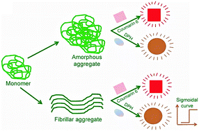 Coumarin 6 and 1,6-diphenyl-1,3,5-hexatriene (DPH) as fluorescent ...