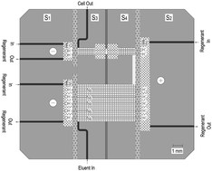 Five-electrode direct current suppressor–detector combiner for ion ...