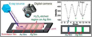 Optical imaging in tissue with X-ray excited luminescent sensors ...