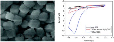 Titanium silicalite-1 zeolite microparticles for enzymeless H2O2 ...