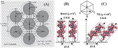 Electrochemical studies on the permeable characteristics of thiol ...