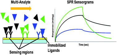 High-throughput surface plasmon resonance imaging-based biomolecular ...