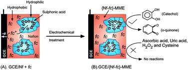 Enzyme-less and selective electrochemical sensing of catechol and ...