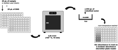 Adaptation of dinitrosalicylic acid method to microtiter plates ...