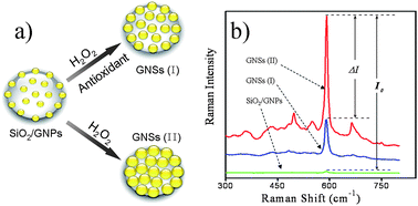 Raman spectroscopy for hydrogen peroxide scavenging activity assay ...