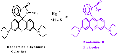 Micellar mediated trace level mercury quantification through the ...