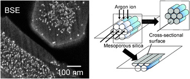 Backscattered electron (BSE) imaging of platinum nano-particles ...