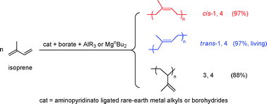 Isoprene Polymerization