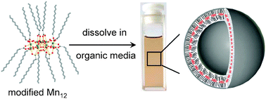 Vesicular assemblies of modified Mn12 single molecular magnets ...