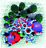 Dynamic interactive systems: dynamic selection in hybrid organic ...