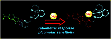 A highly sensitive ratiometric fluorescent probe for Cd2+ detection in aqueous solution and ...