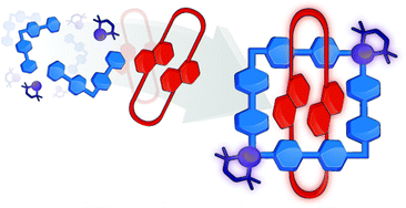 Directed self-assembly of a ring-in-ring complex - Chemical ...