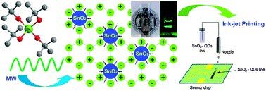 Microwave assisted fast and facile synthesis of SnO2 quantum dots and ...