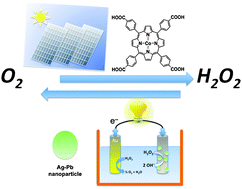 Hydrogen peroxide as sustainable fuel: electrocatalysts for production ...