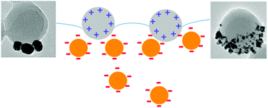 PEG-POSS Assisted facile preparation of amphiphilic gold nanoparticles ...