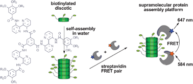 Protein assembly along a supramolecular wire - Chemical Communications ...