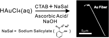 Solution-phase synthesis of Au fibers using rod-shaped micelles as ...