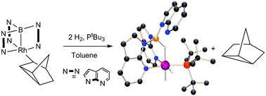 Double addition of H2 to transition metal–borane complexes: a ‘hydride ...
