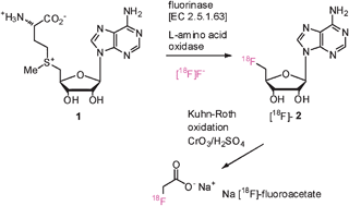 Fluorinase mediated chemoenzymatic synthesis of [18F]-fluoroacetate ...