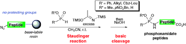 Synthesis of phosphonamidate peptides by Staudinger reactions of ...
