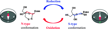 A novel bridged nucleoside bearing a conformationally switchable sugar ...