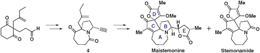 Total synthesis of (±)-maistemonine and (±)-stemonamide - Chemical ...