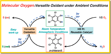 In situ coupled oxidation cycle catalyzed by highly active and reusable ...