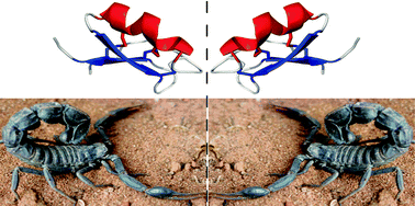 Total chemical synthesis and X-ray structure of kaliotoxin by racemic ...