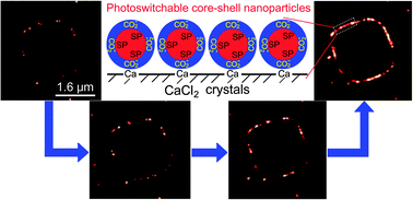 Super-resolution fluorescence nanoscopy applied to imaging core–shell ...