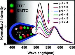 Ratiometric pH sensor based on mesoporous silica nanoparticles and ...