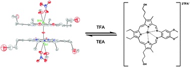Bismuth– and lead–texaphyrin complexes: towards potential α-core ...