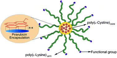 Star polymers composed entirely of amino acid building blocks: a route ...