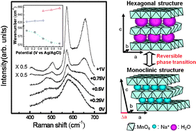 Reversible phase transformation of MnO2 nanosheets in an ...