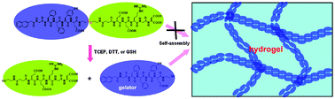 Disulfide bond as a cleavable linker for molecular self-assembly and ...