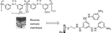 Development of an oligoamide coating as a surface mimetic for aromatic ...