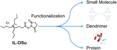 A versatile reagent to synthesize diverse ionic liquids ranging from ...